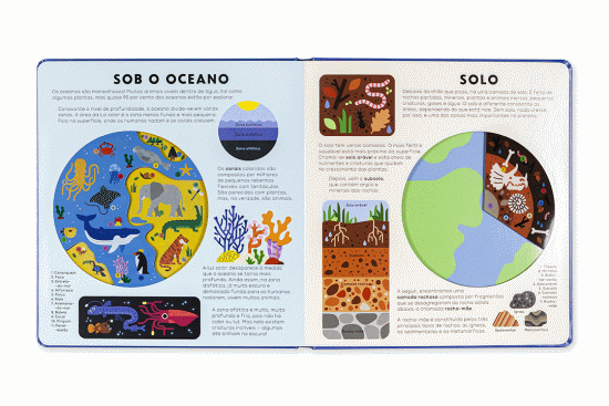 O Livro do Planeta Terra - Livro - WOOK